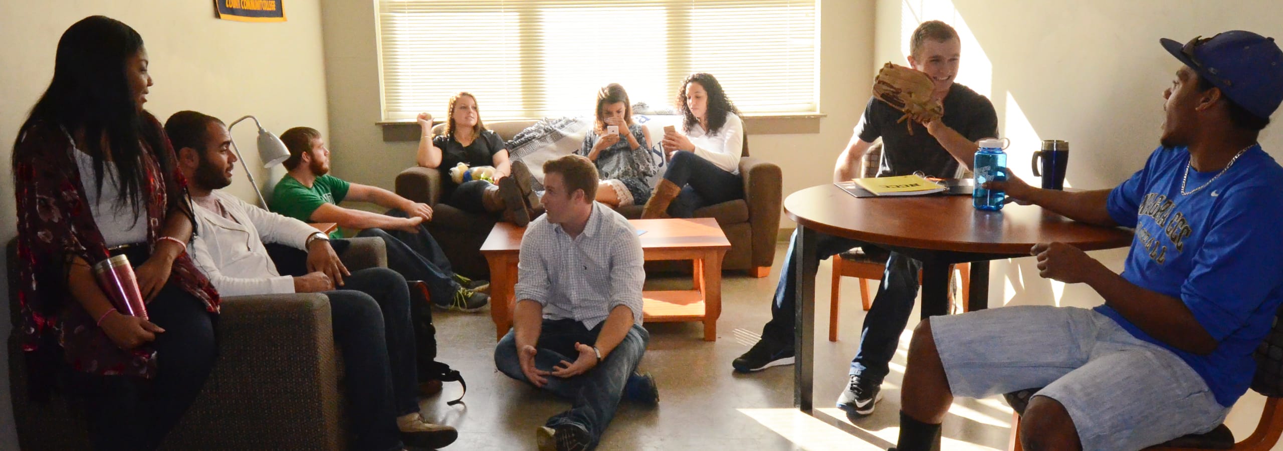 Fines - Judicial Sanction Chart - SUNY Niagara